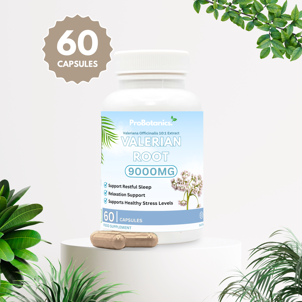 Organic Valerian Root Capsules – ProBotanics